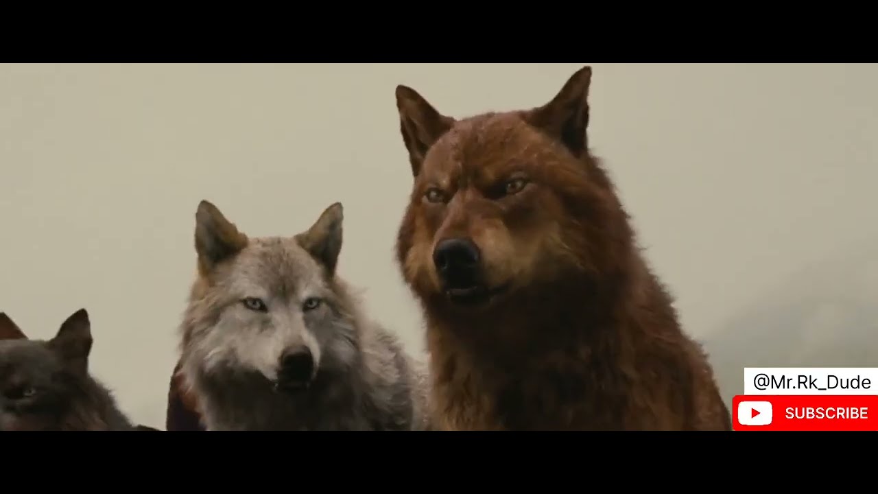 Wolf fight seen Twilight movie sort seen. - YouTube