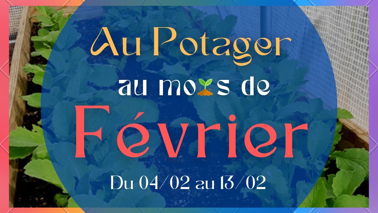 Au Potager en Février ! Du 04/02 au 13/02 - YouTube