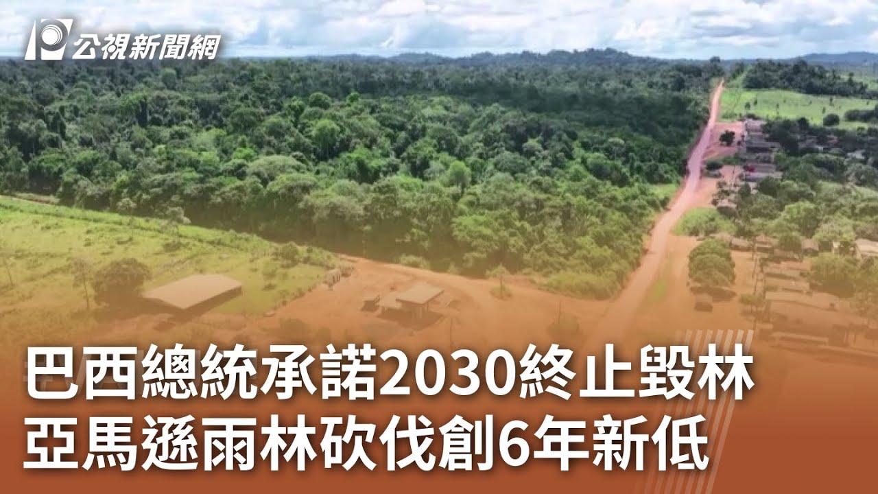 巴西總統承諾2030終止毀林 亞馬遜雨林砍伐創6年新低|20230804 公視中晝新聞 Youtube