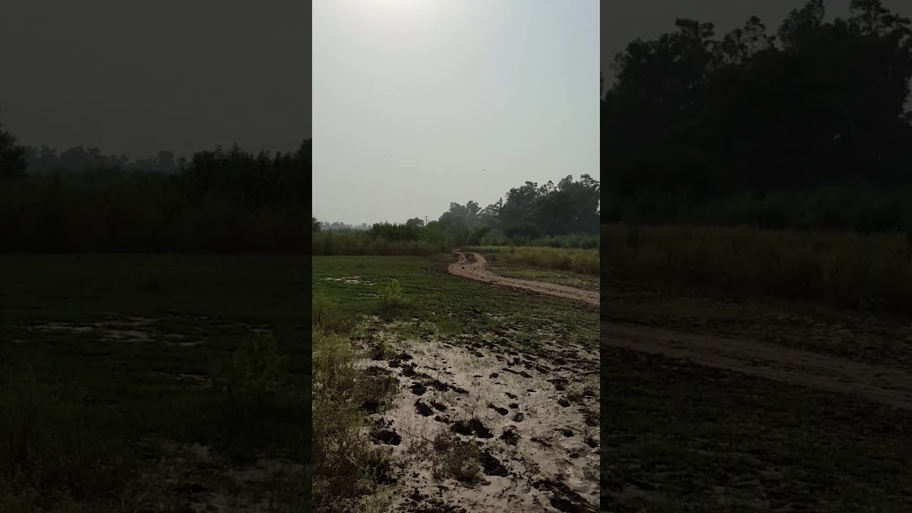 Dera Baba Nanak Ravi Bridge (Jassar from Pakistan Side) - YouTube