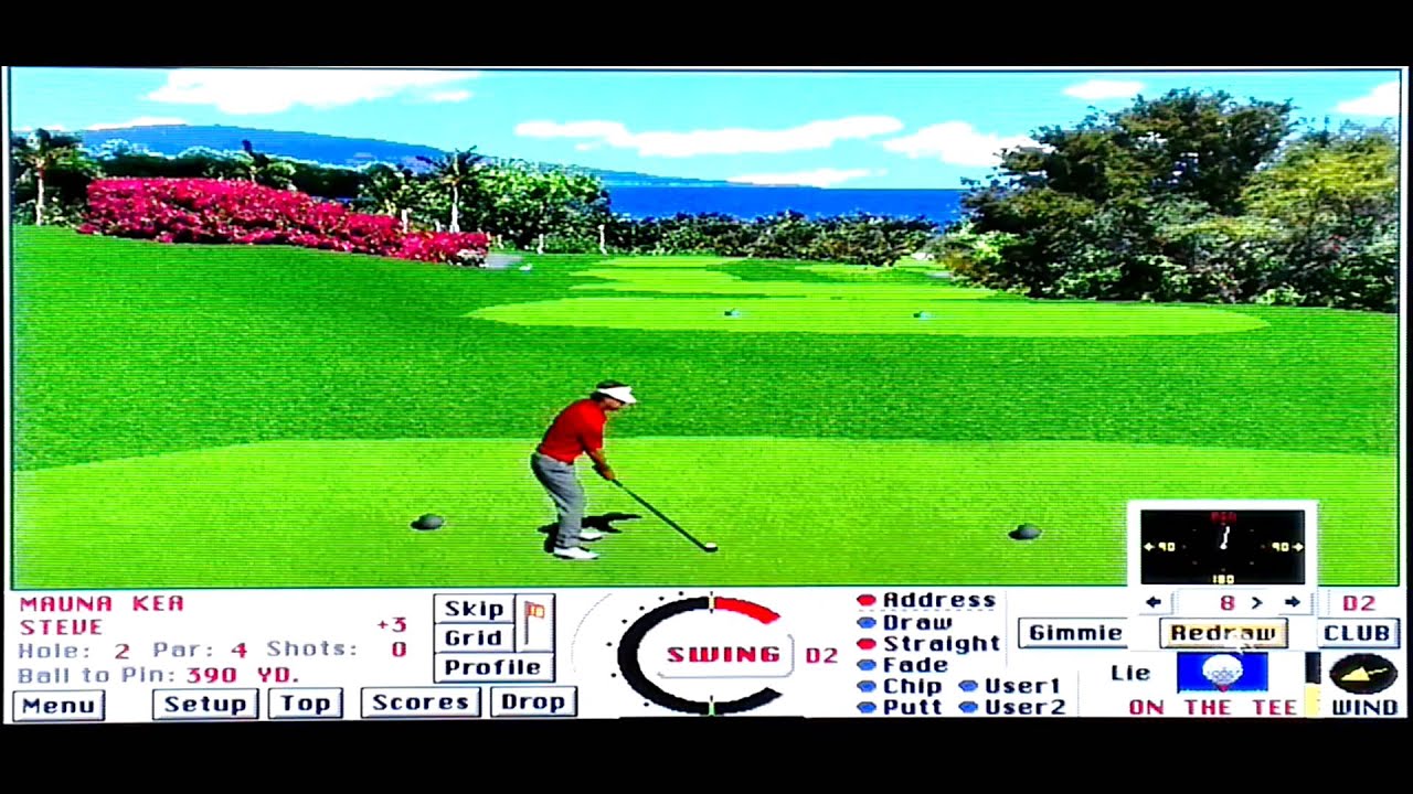 [PC] Links: Challenge of Golf Gameplay - YouTube