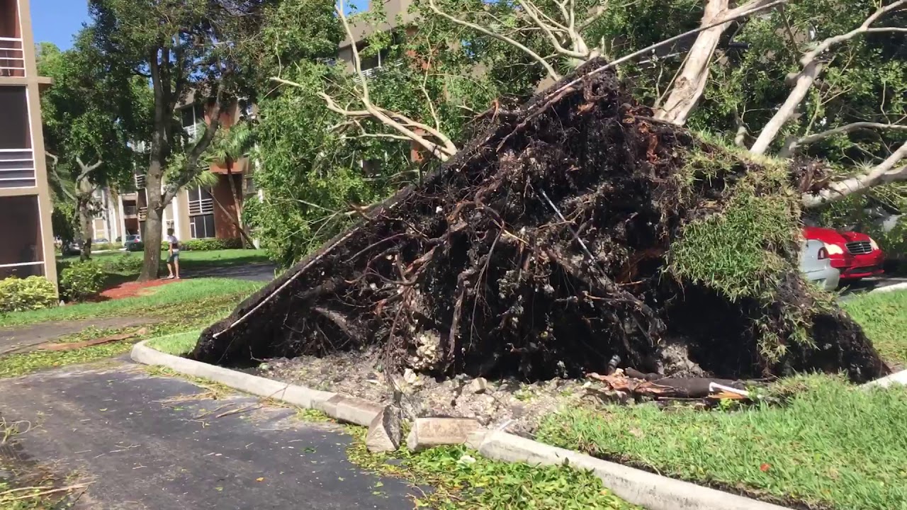 After hurricane Irma Boca Raton FL 2017 - YouTube