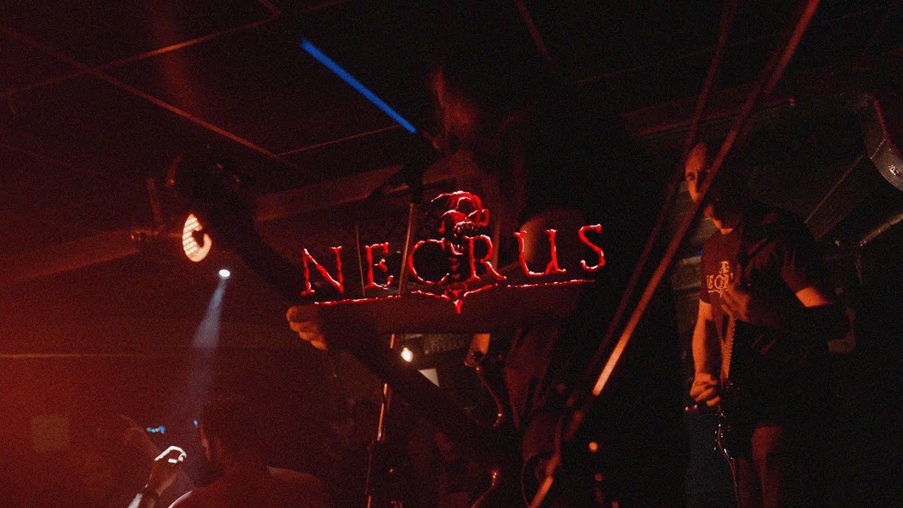 Necrus // promo - YouTube