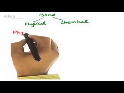 Physical Bond - YouTube