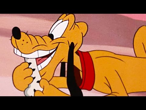 Pluto and the Bone Bandit | A Classic Mickey Short | @disneykids
