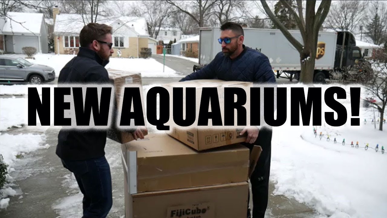 UNBOXING *TWO* NEW FIJI CUBE AQUARIUMS! Saltwater Reef Tank Setups ...