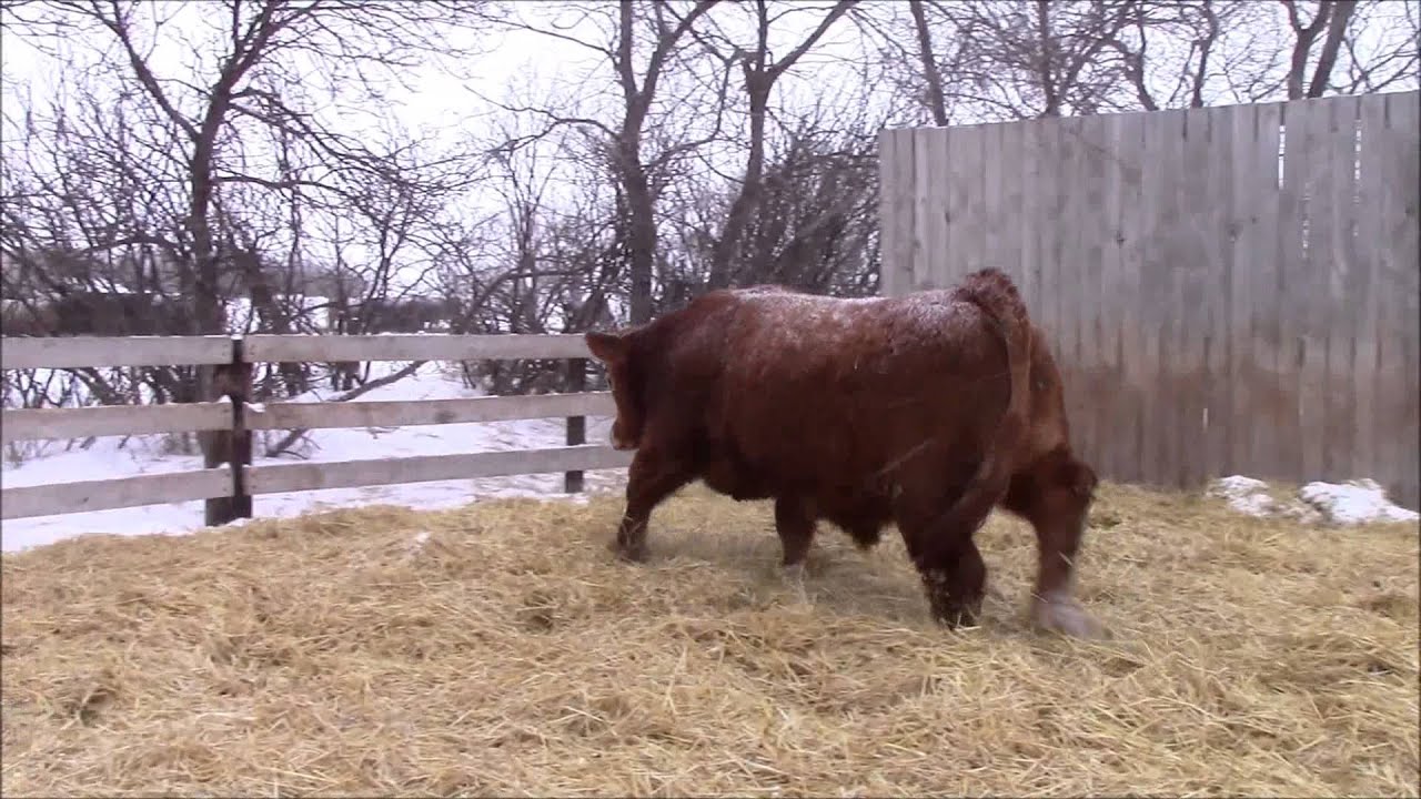 Lot 21 Anchor B Brock 8B - YouTube