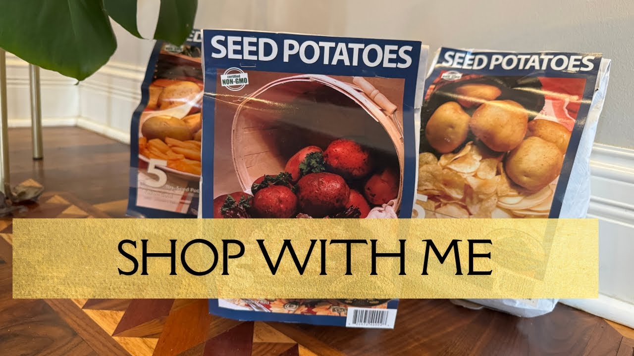 Shop Menards Garden Center with Me - Seed Potatoes, Roses, Rhubarb ...