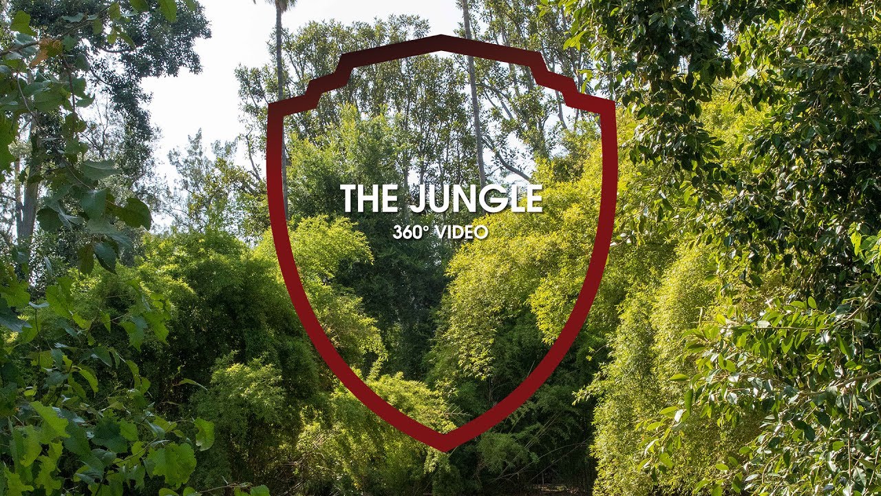 Experience The Jungle in 360° Video | Warner Bros. Studio Tour - YouTube