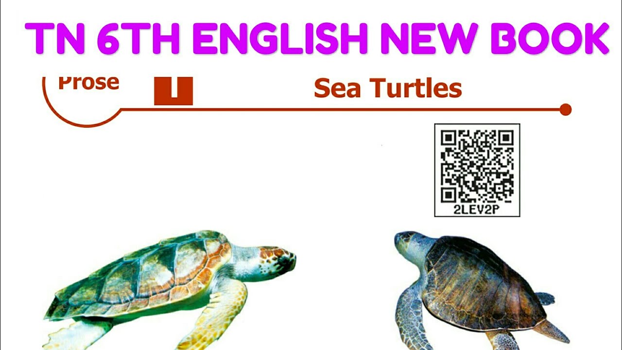 SEA TURTLE, SEKAR DATTATRI /TN 6th NEW BOOK ENGLISH /TNPSC NEW BOOK ...