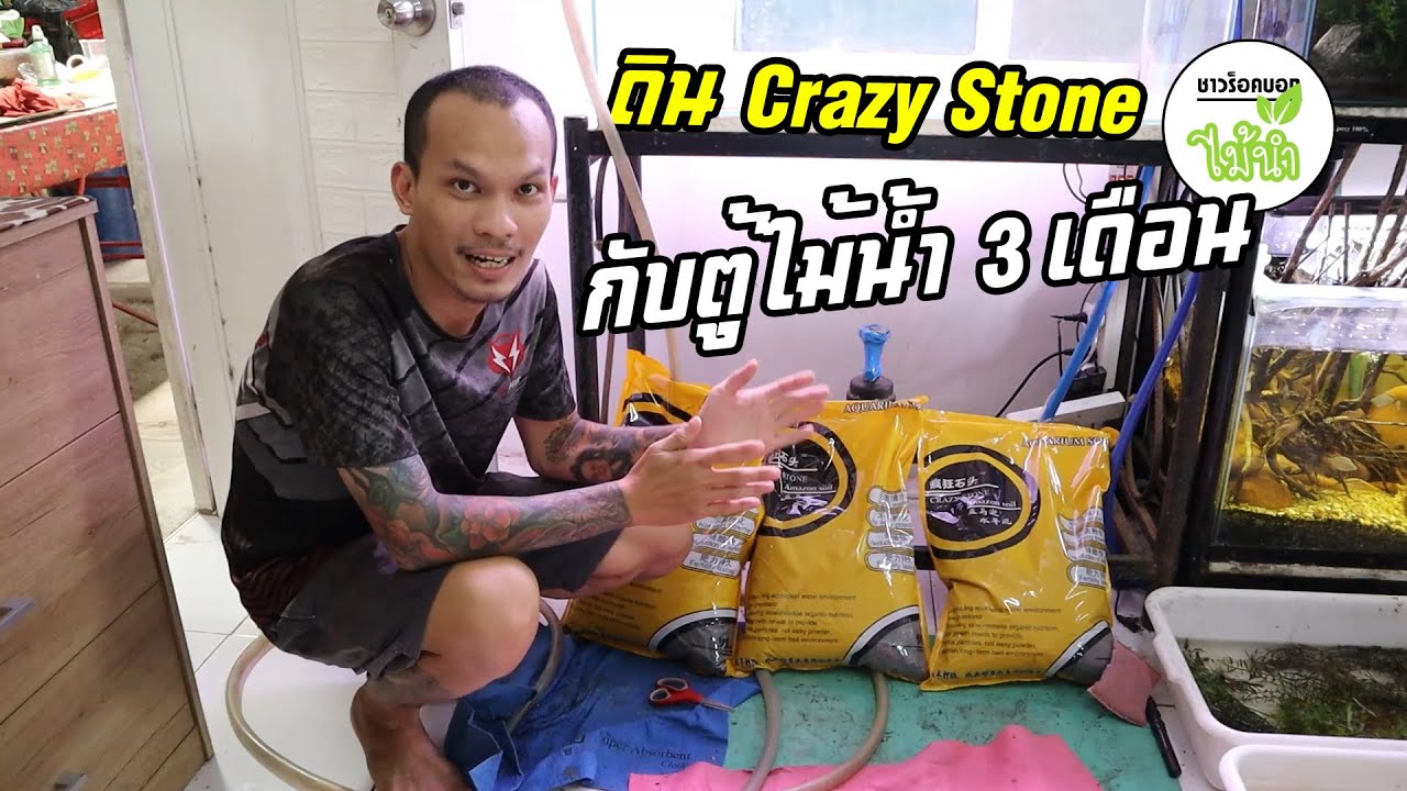 ดินปลูกไม้น้ำ Crazy Stone รุ่น Standard คุณสมบัติ จุดแข็งและจุดอ่อน ...