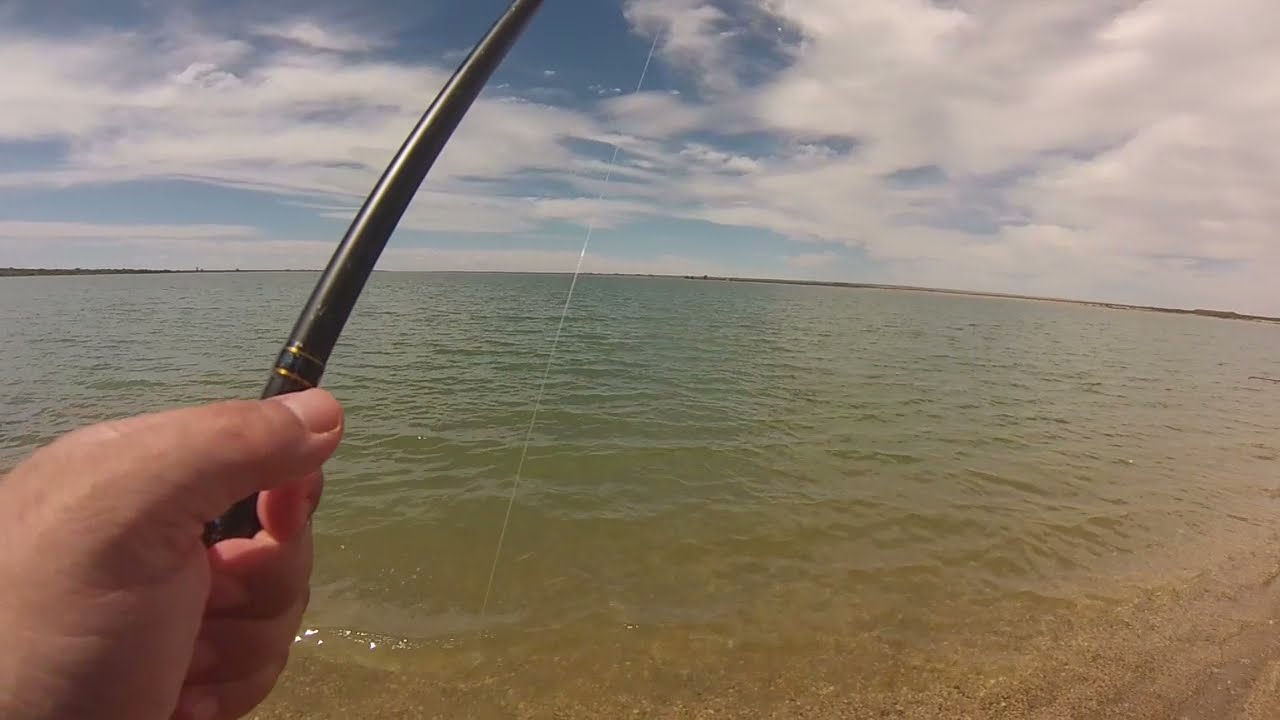 Spitskop dam carp angling November 2021 - YouTube