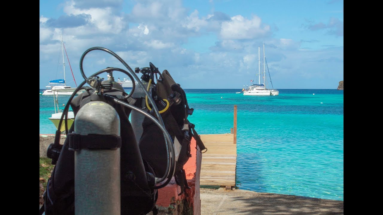 Scuba Diving Adventure! | Bequia - YouTube