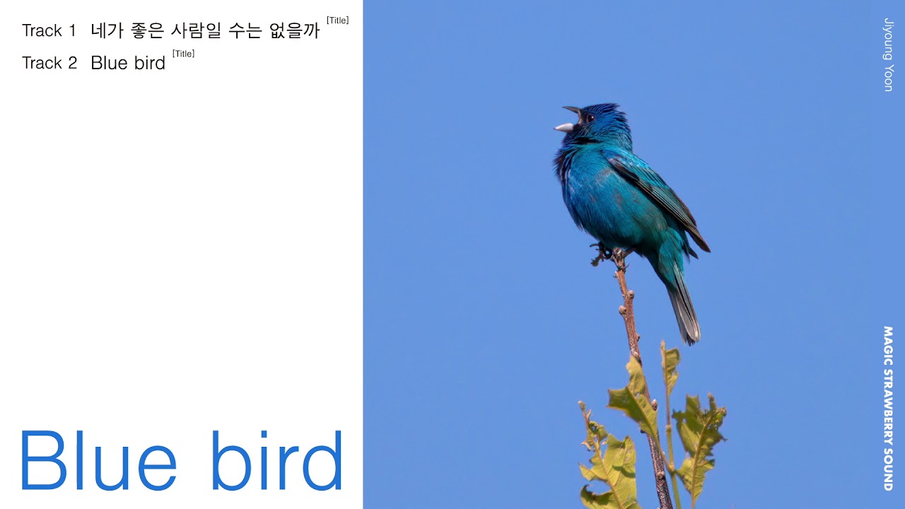 [Full Album] 윤지영 (Yoon Jiyoung) - 'Blue bird' - YouTube