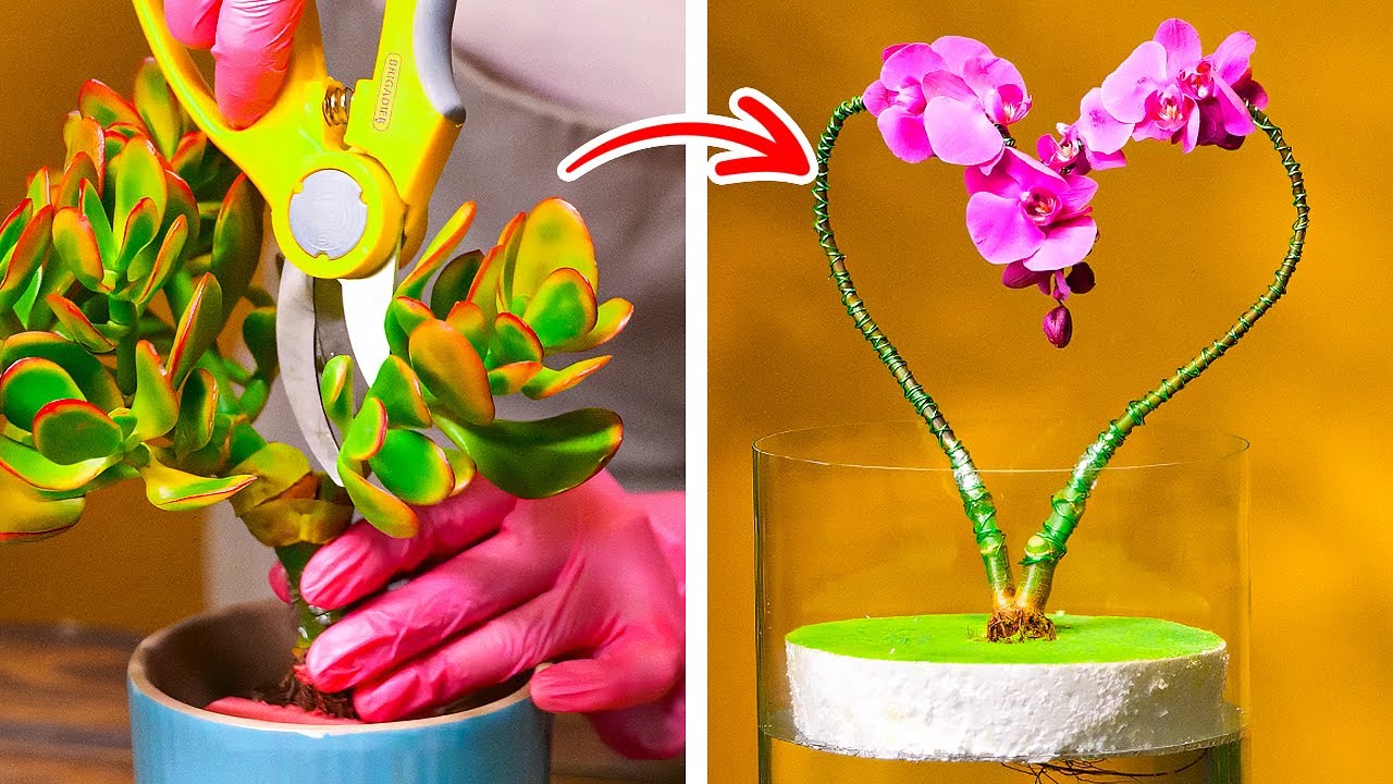 HOW TO SAVE YOUR PLANTS || Easy Ways to Grow Any Plants - YouTube