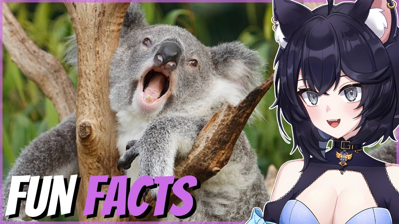 Biologist REACTS to Marsupials Facts | Ze Frank - YouTube