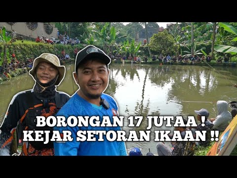 MANCING BORONGAN 17 JUTAA !! MAIN GUTUKAN. PELAMPUNG SAMPAI BERANAK !!