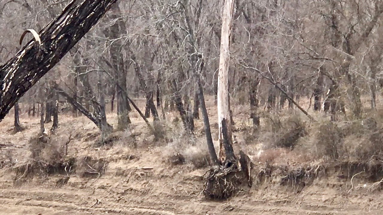 Verdigris River - YouTube