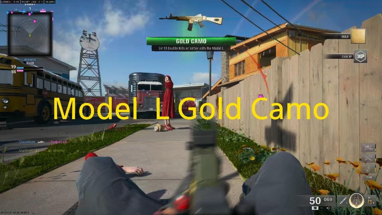 COD BO6 Model L Gold Camo - YouTube