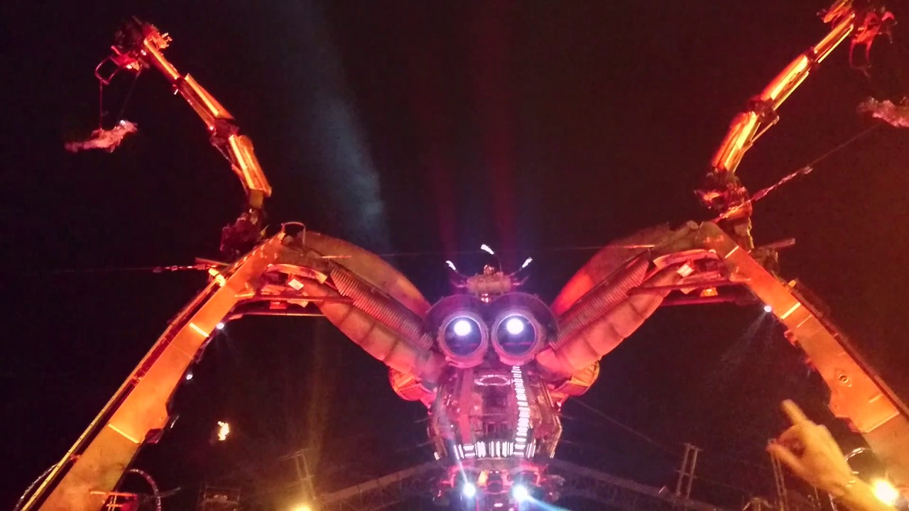 The metamorphosis show at Arcadia - YouTube