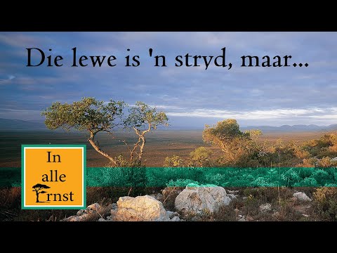 Die lewe is 'n stryd, maar... - YouTube