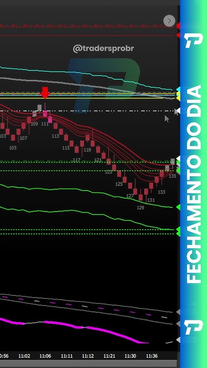 Day Trade FECHAMENTO DO DIA 21/06/23 Mini Dólar Renko Pro, Traders Pro #daytrade B3 - YouTube