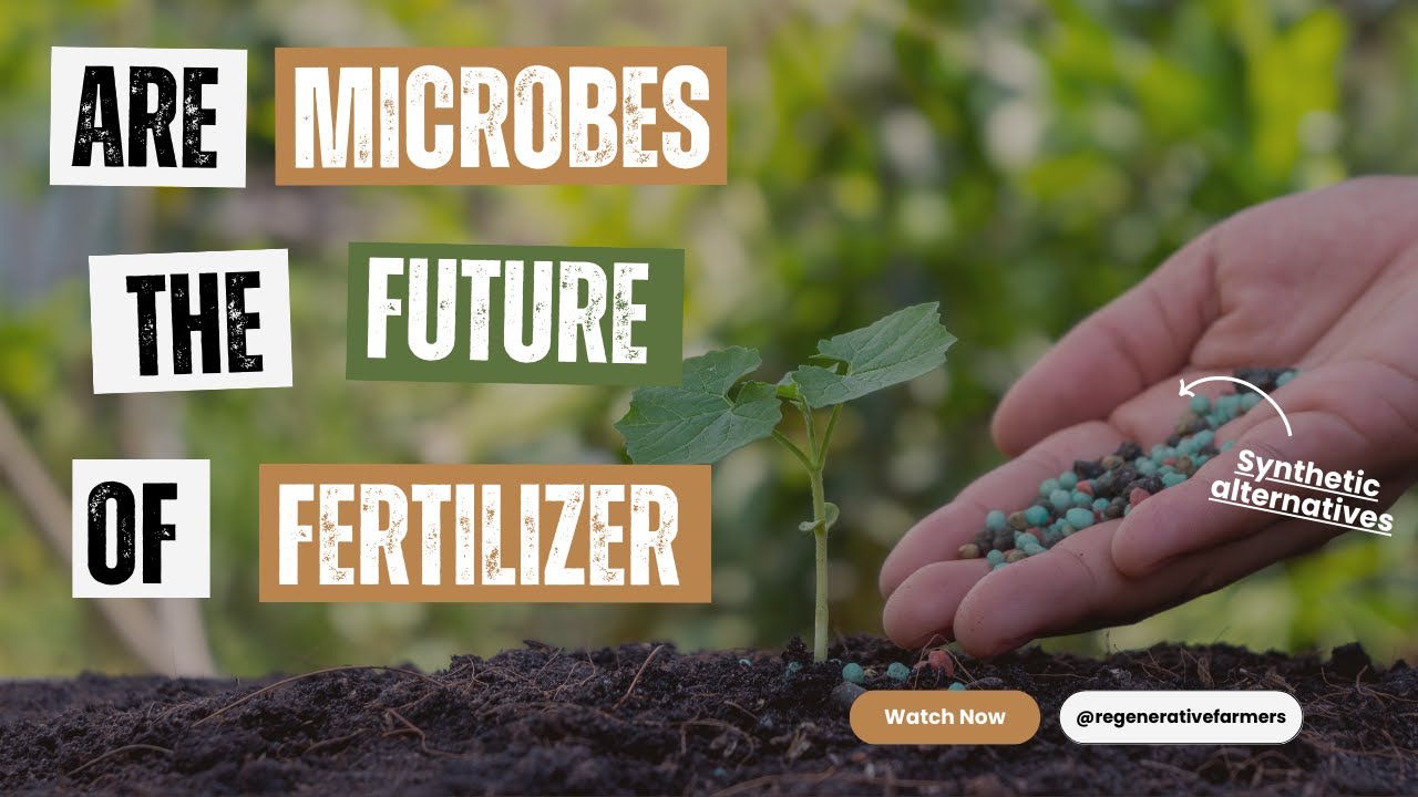 Are Microbes The Future Of Fertilizer? - YouTube