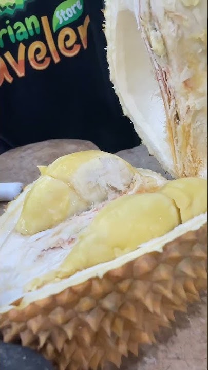 Mantap durian lokal dari Sumatra selatan !!! #durian #durianlokal #masduren - YouTube