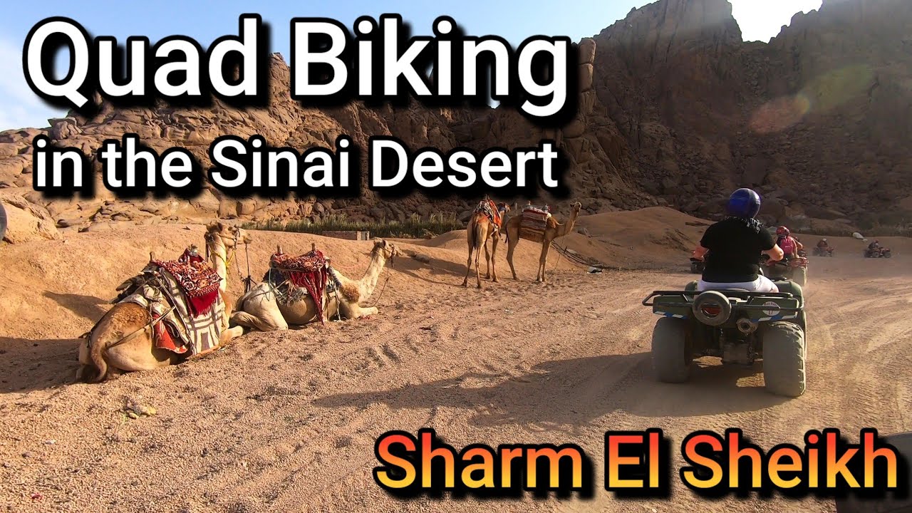 Quad Biking in the Sinai Desert, Egypt - YouTube