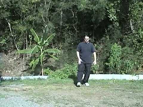 Free Lesson: 2. Seven Star Posture- Wu Tai Chi - YouTube