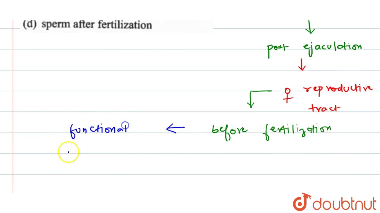 Capacitation refers to changes in the: - YouTube
