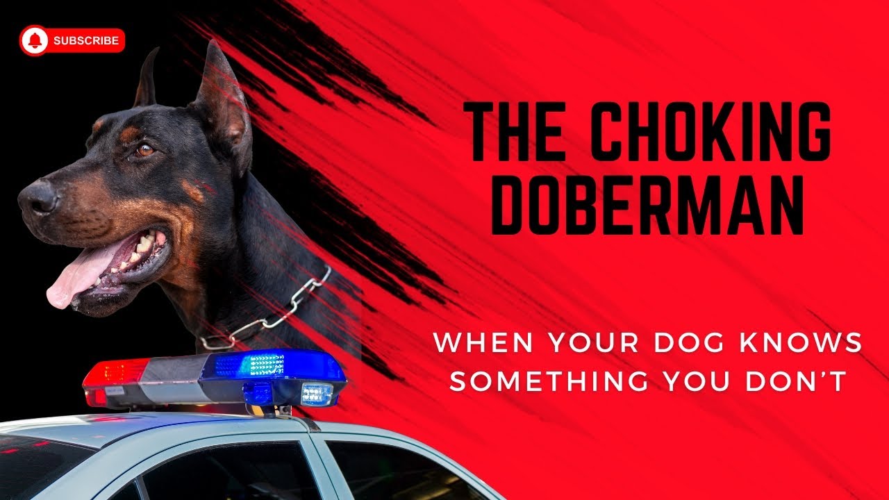 The Choking Doberman: When Your Dog Knows Something You Don’t | Urban ...