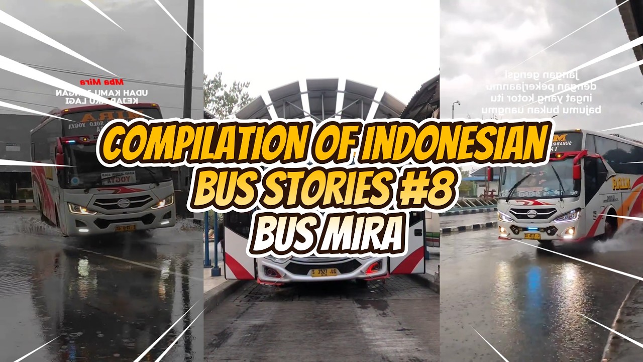 COMPILATION of Indonesian Bus Stories #9 BUS MIRA @R1704D - YouTube