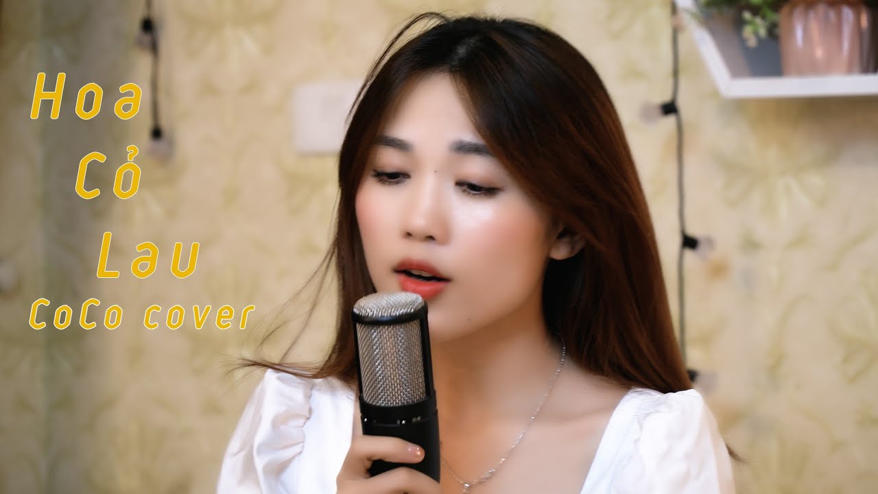 HOA CỎ LAU - PHONG MAX | Cô Cô COVER - YouTube