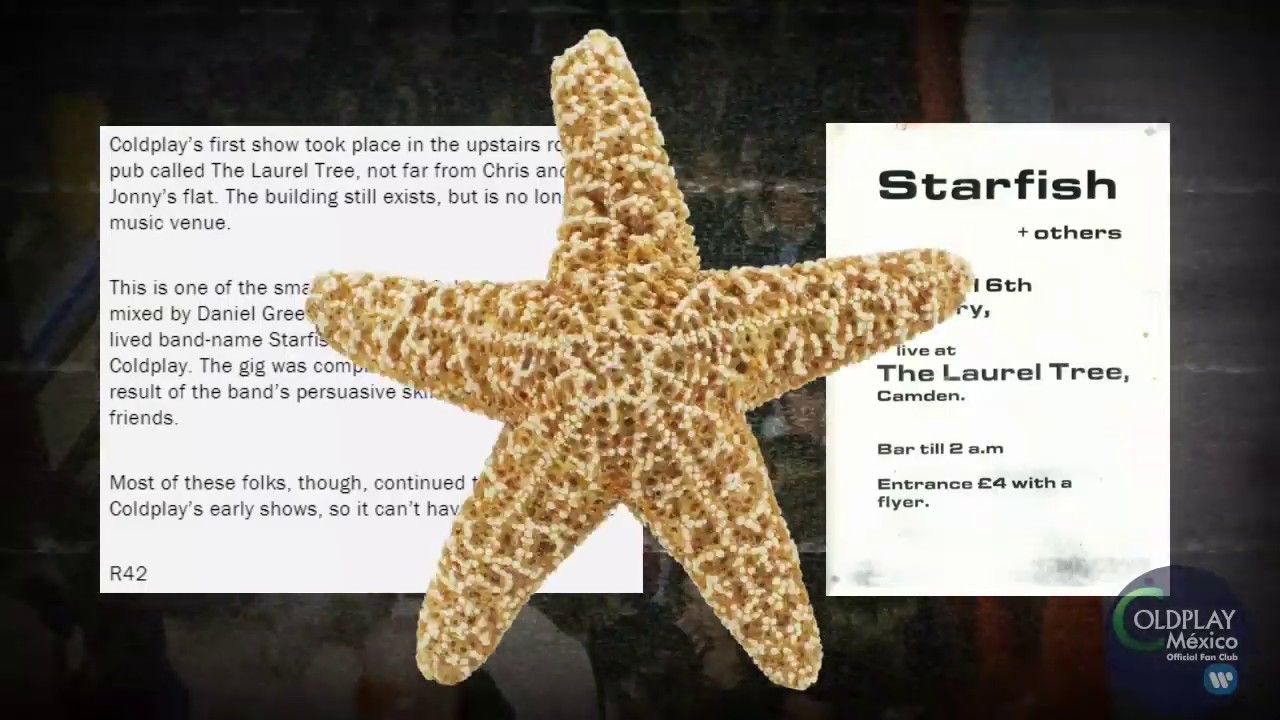 El primer y único concierto de STARFISH... || Coldplay México OFC - YouTube