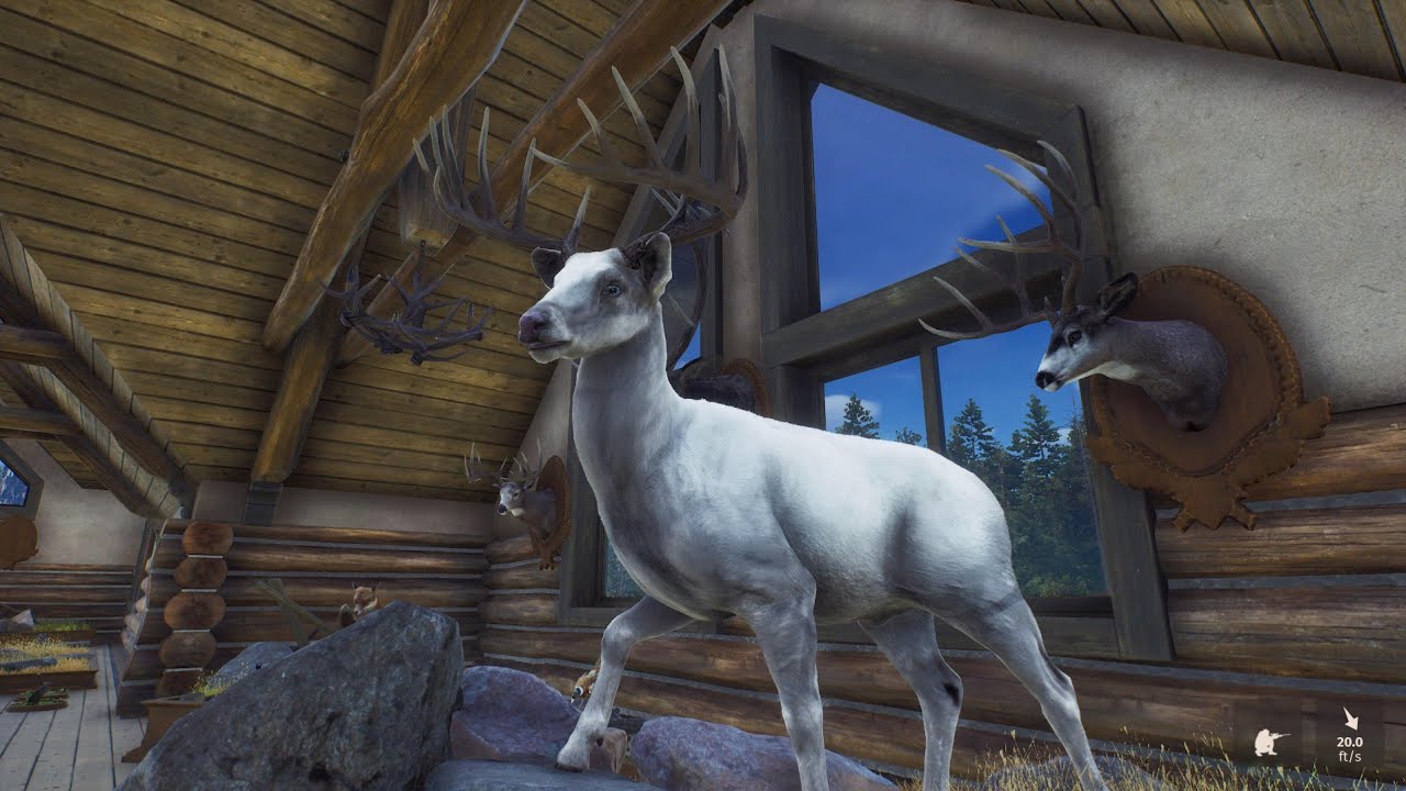 Taking Down 'Ghost' The Albino 5 Star Whitetail! | Way of the Hunter ...