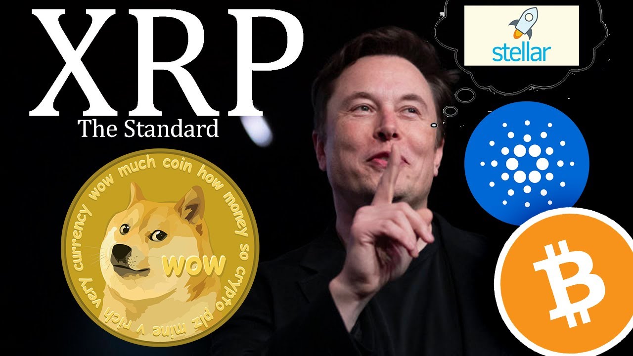 Биткоин Эфир Ripple XRP Лютейший Рост Еще Впереди STELLAR Hedera ...