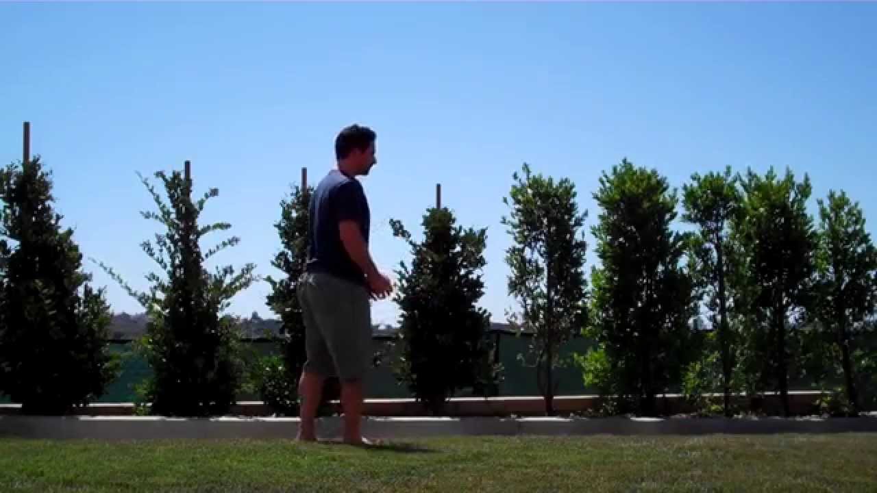 Tai Chi Ruler - Chi Cultivation Movements - YouTube