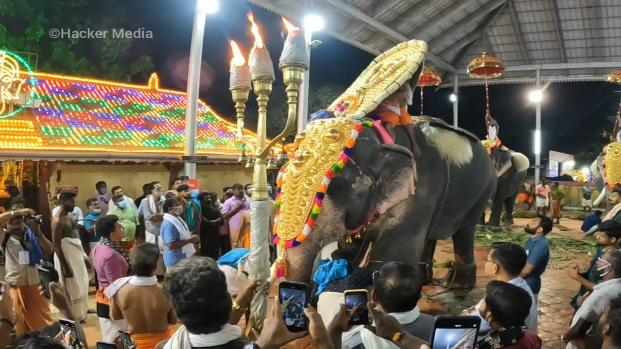 Uthralikavu Pooram 2022 | Puthupally Kesavan - YouTube