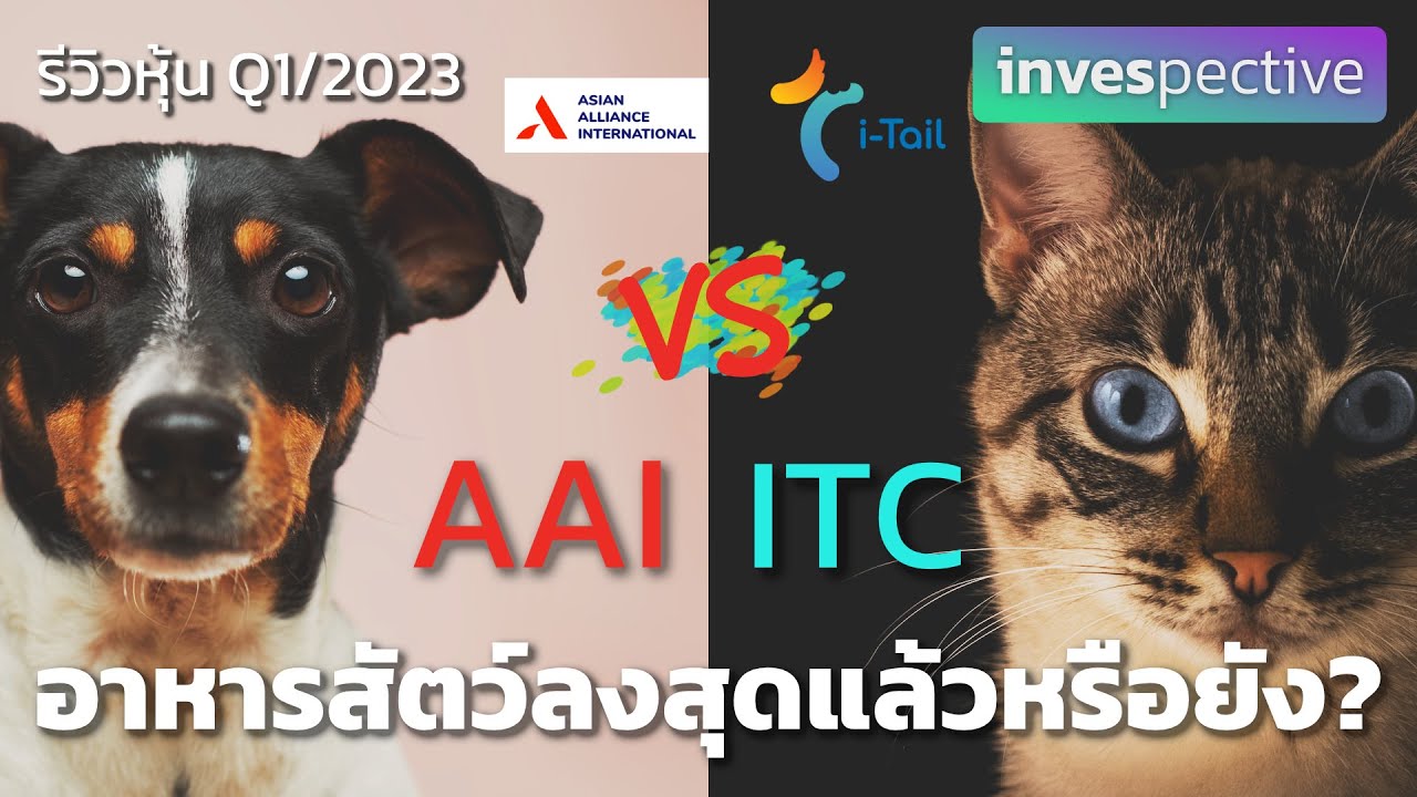 หุ้น AAI หรือ ITC ใครดีกว่ากัน? - Q1 2023 - YouTube