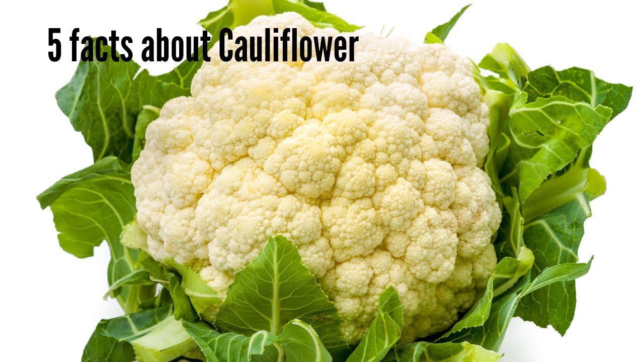 5 Facts about Cauliflower| 5factshub - YouTube