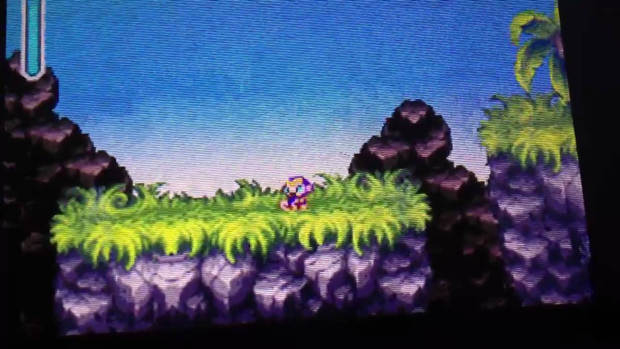 Shantae Animations From Shantae: Risky's Revenge - YouTube