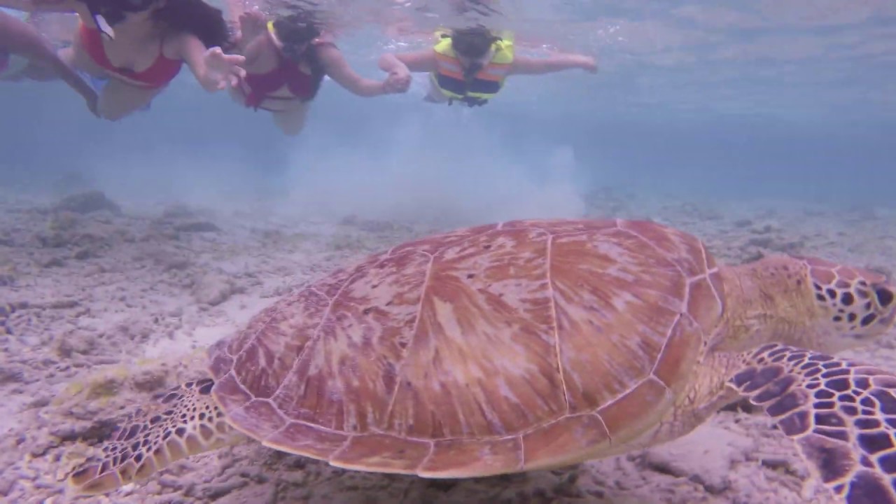 Bali/Gilli 2020 - YouTube