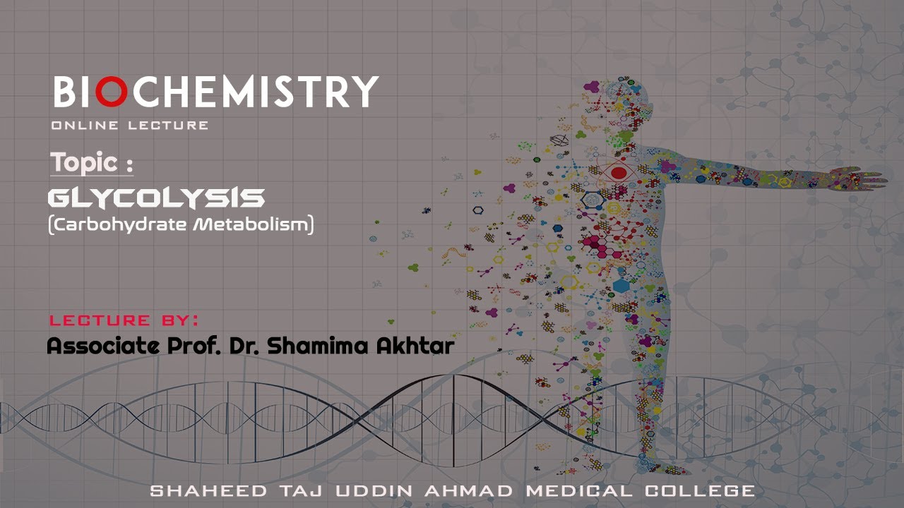 Glycolysis | Carbohydrate (CHO) Metabolism | Biochemistry | Online ...