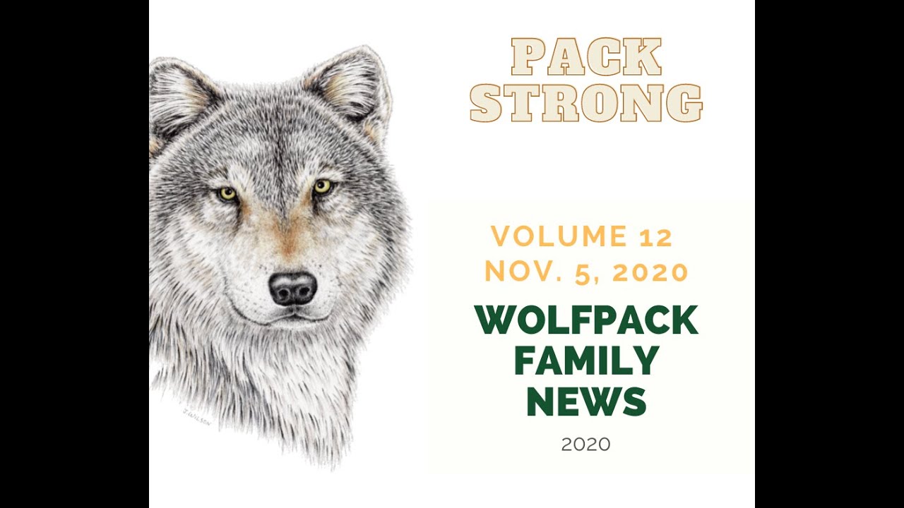 Wolf Pack Family News - Vol. 12 - YouTube