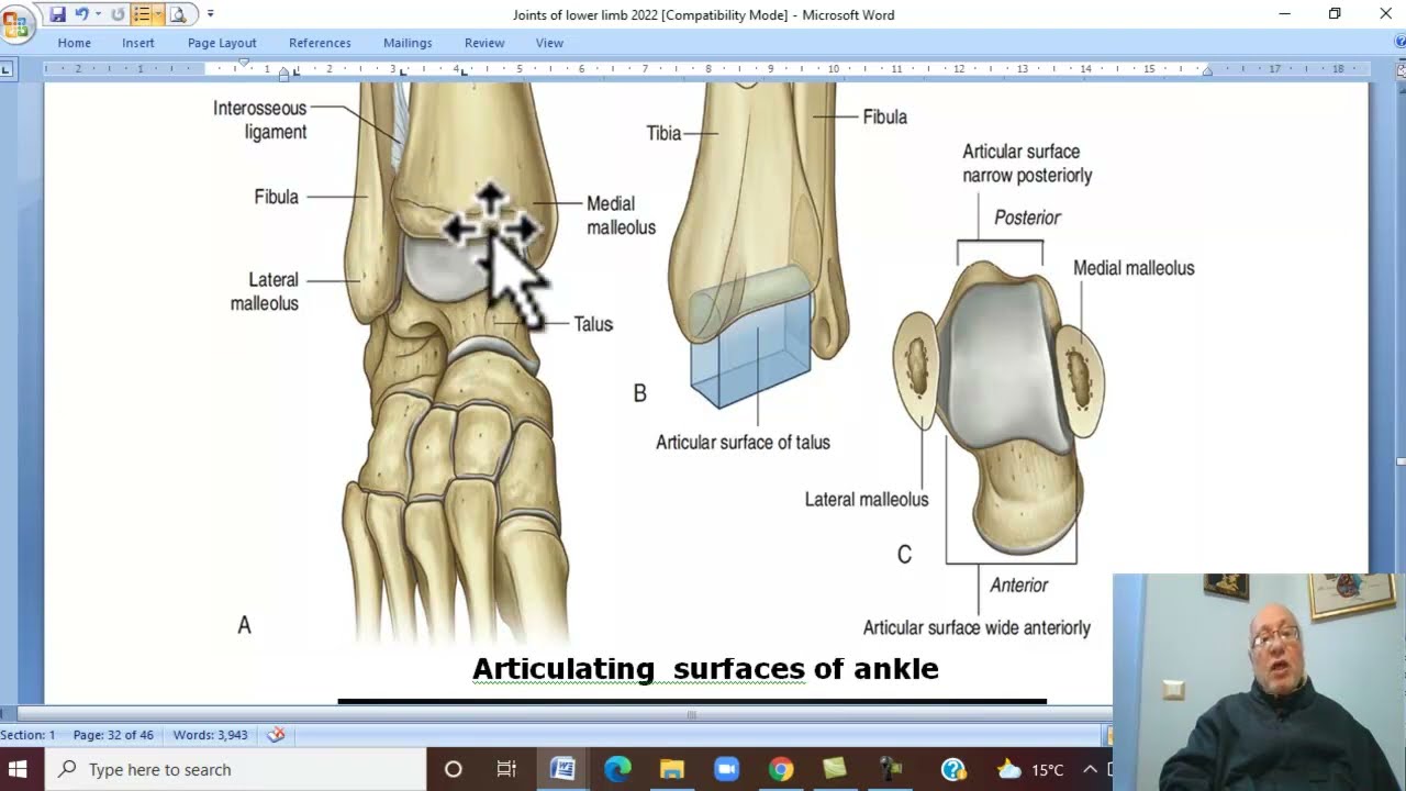 Musculo-skeletal Module , Anatomy of Lower Limb in Arabic 52 ( Ankle ...