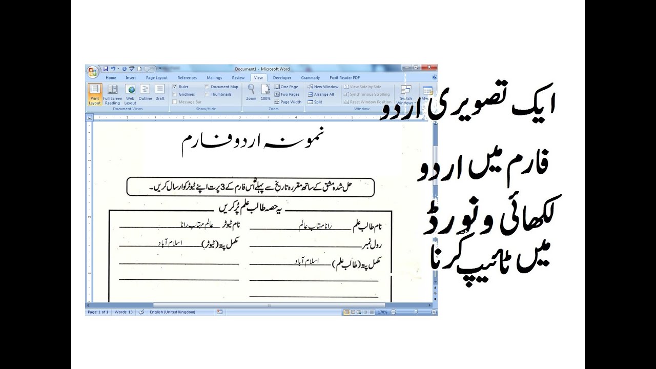 How to Type Urdu Text On An Urdu Picture Form In WinWord - Lunar ...