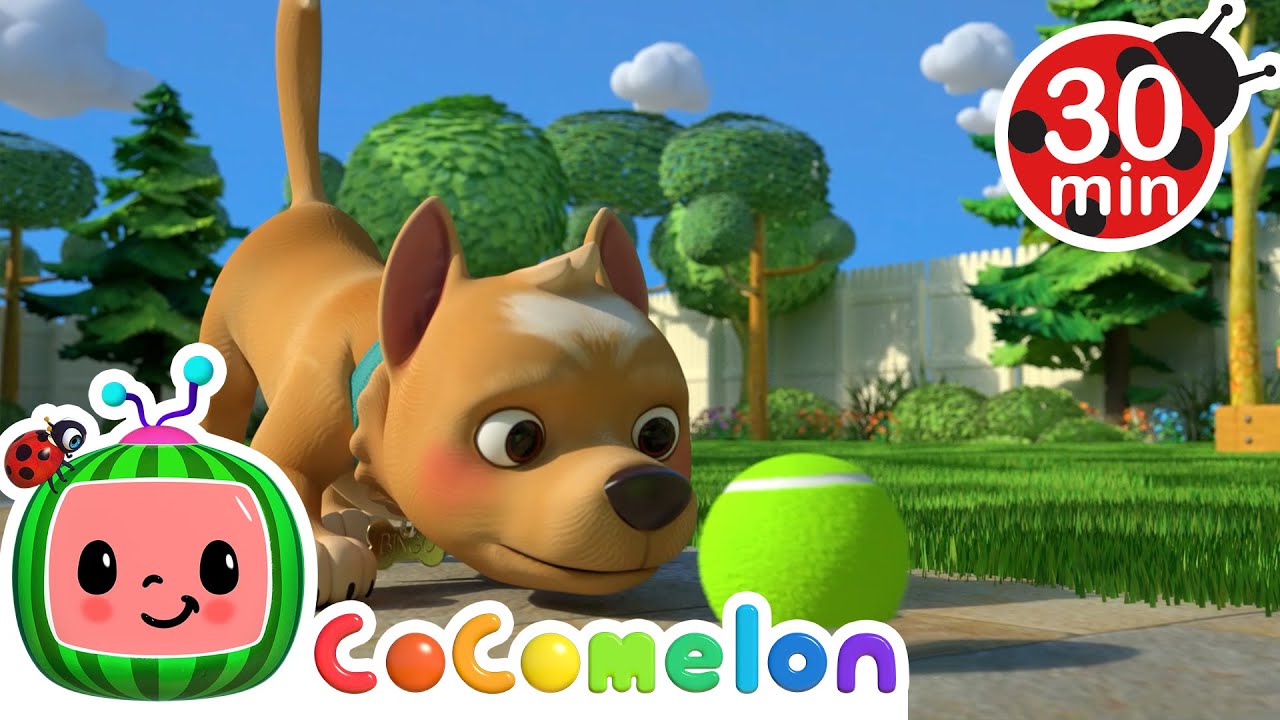 My Dog Song 30 MIN LOOP | Karaoke Nursery Rhymes & Kids Songs ...