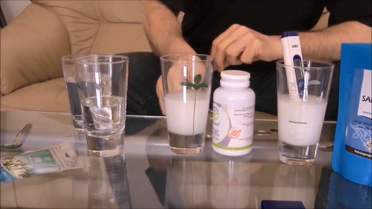 Коралл - Майн живая вода!!! - YouTube