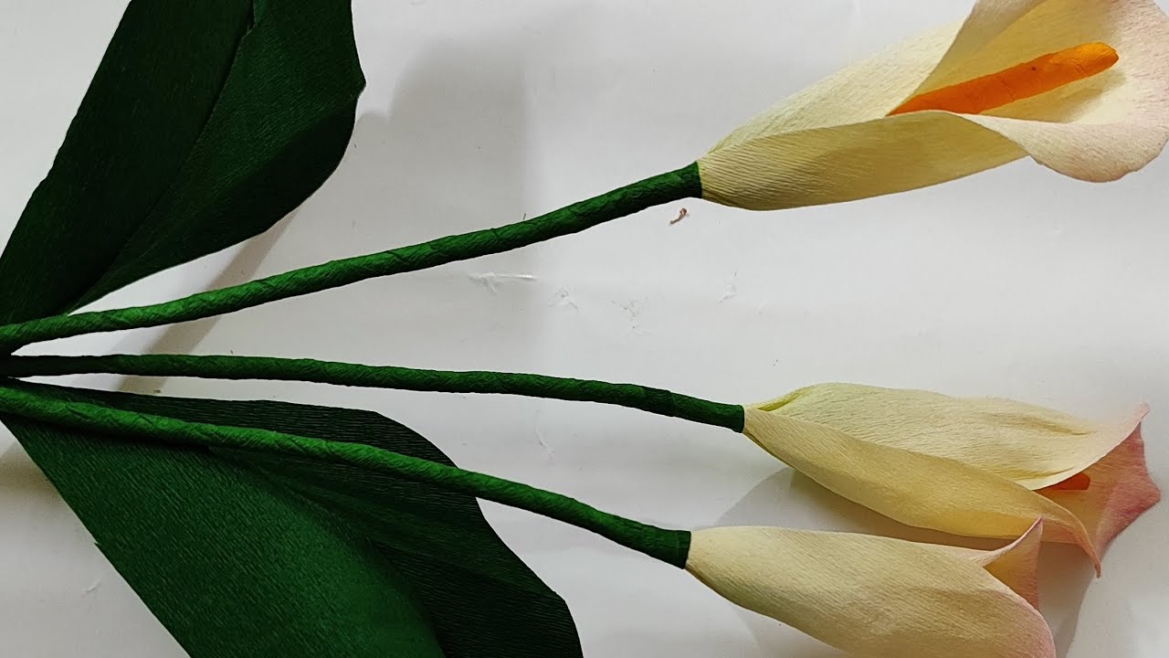 How to make calla lily paper flower @kiran.gurupanchayan # ...